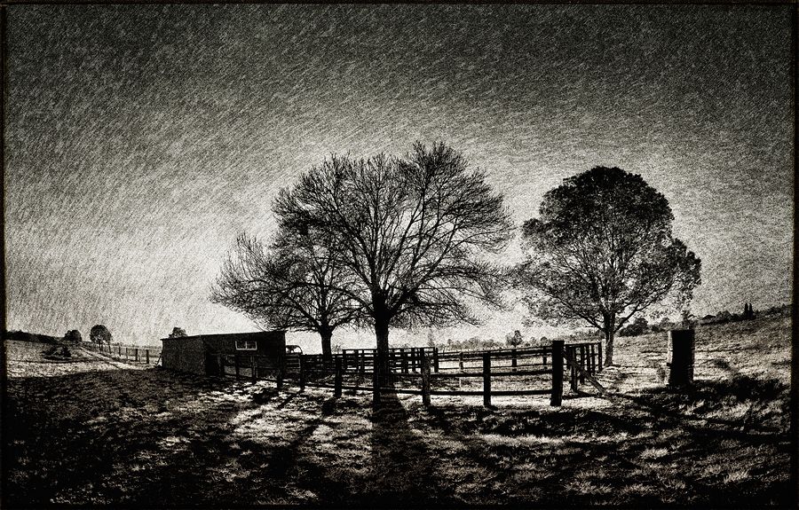 Cairns Portrait Photographers Highlights Photography | Let Highlights ...